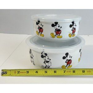 Disney | Kitchen | Zb Zrike Brands Disney Mickey Mouse Dishwasher ...